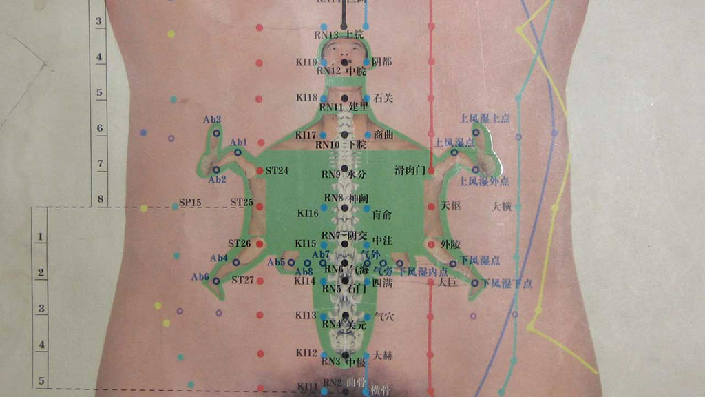 Abdominal Acupuncture – The Turtle - Learn Abdominal Acupuncture
