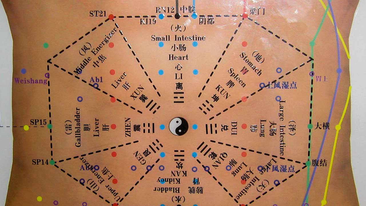 Learn Abdominal Acupuncture Online with Pia Columberg